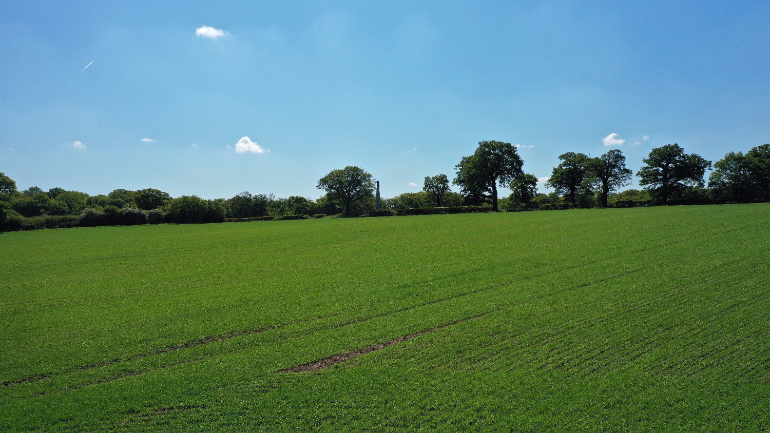 #Summer-blue sky shots over North London | DJI FORUM