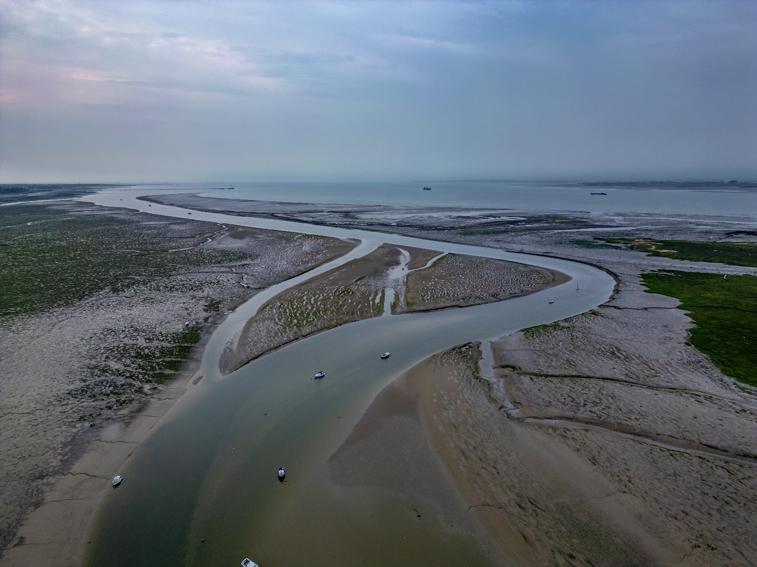 A Bleak view to start the day.... | DJI FORUM